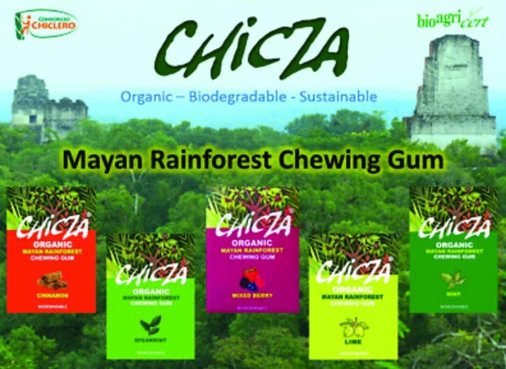 Mixed Berry - CHICZA - Certified Organic Rainforest Chewing Gum (1 Box ...