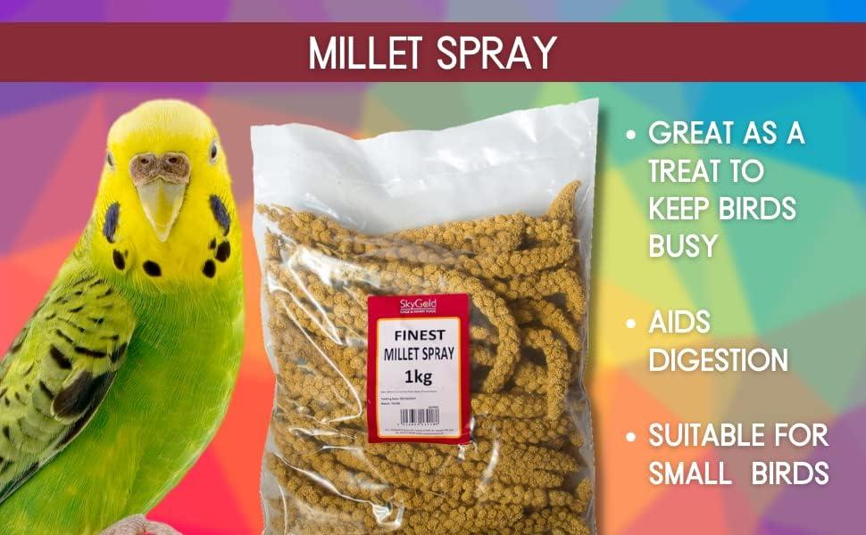 SKYGOLD Finest Millet Spray for Birds 1kg - Small Parrot & Budgie ...