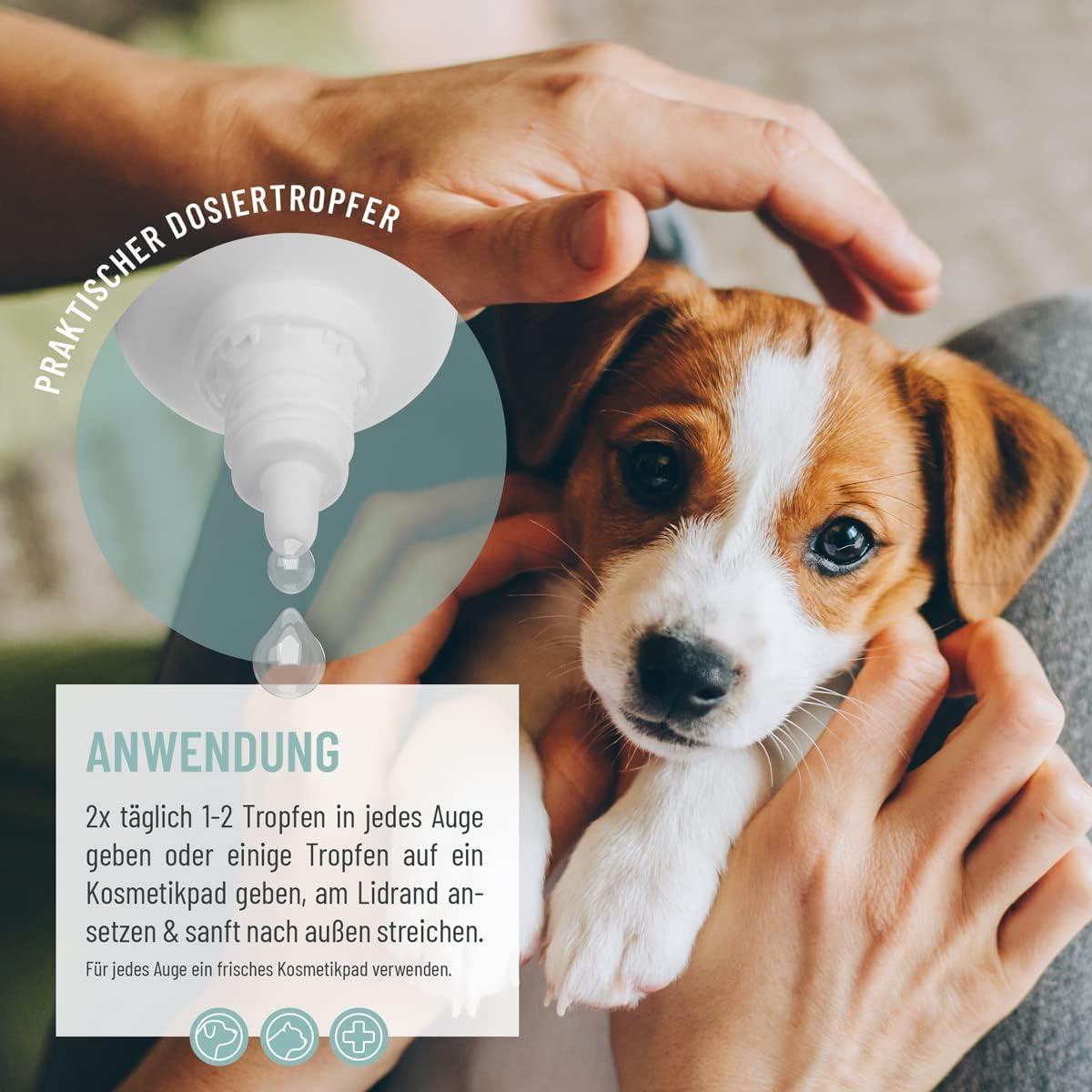 Reavet Special Eye Drops for Dogs & Cats - 20ml Colloidal Silver for ...