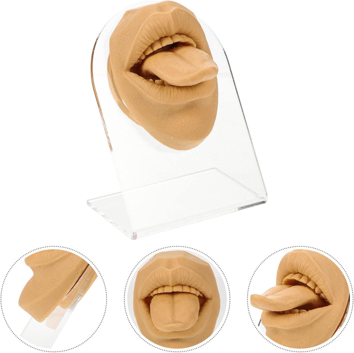 FOMIYES Silicone Tongue Model Set for Piercing Practice and Jewelry ...