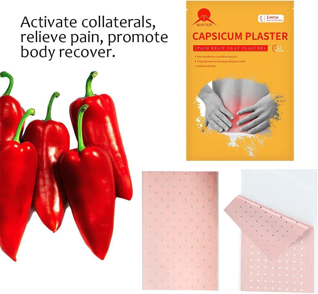 MT Healthy 20 Pcs Capsicum Patch | Pain Relief for Arthralgia, Back ...