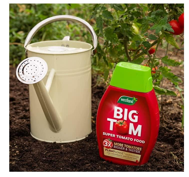 Westland Tomato Food 1Litre- For Juicy Best Tasty Tomatoes | Buy Now ...