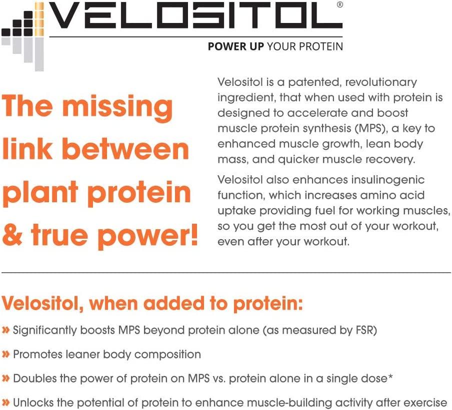 Genius Vegan Protein Powder Shake | Pea + Pumpkin Protein | Lean Muscle ...