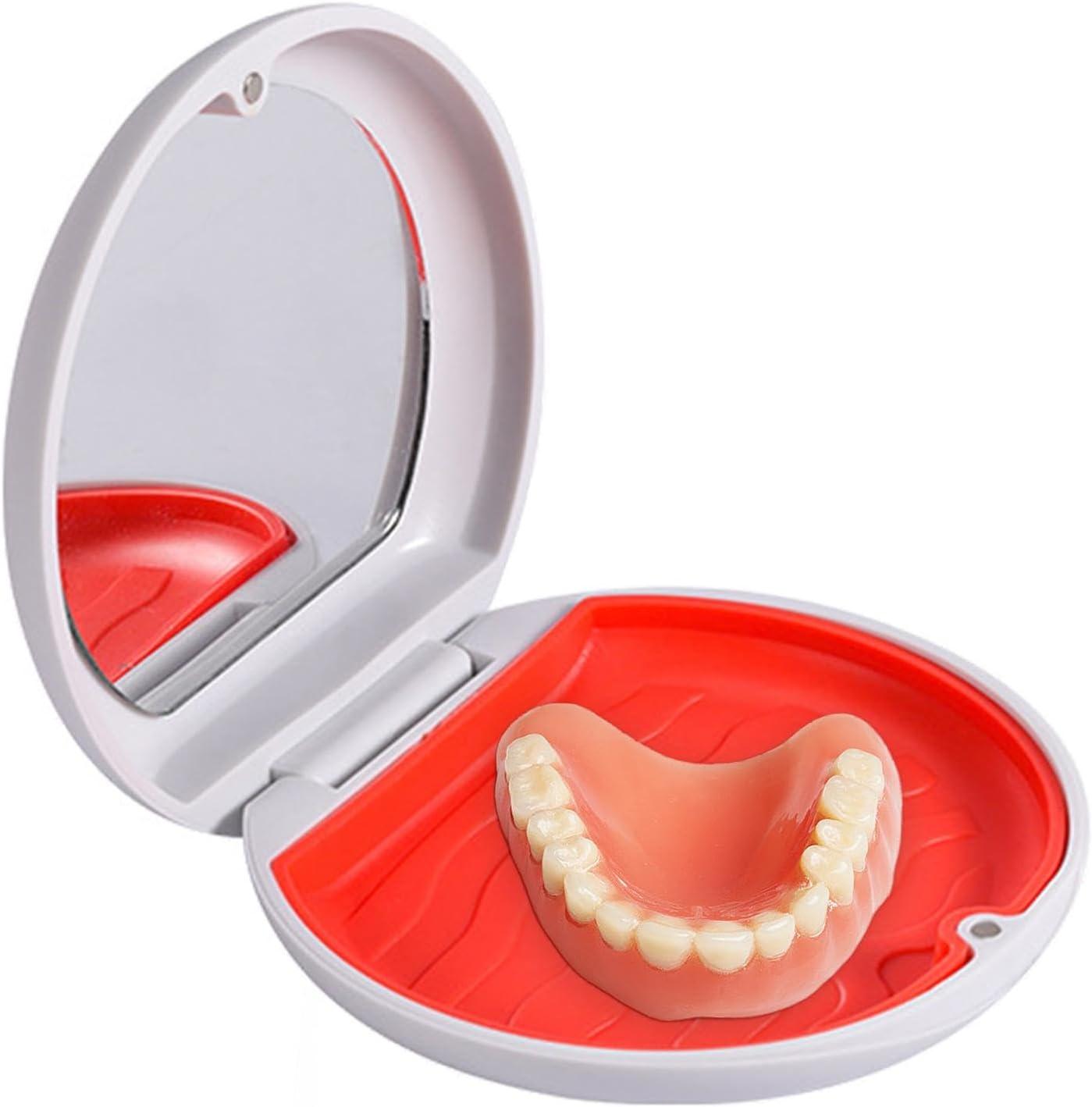 Buy Dentilic Dinner Dento Box - Bite Can for Bite Rail & Prosthetic ...