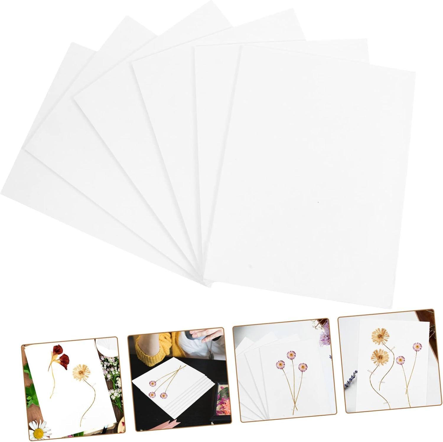 FRCOLOR Dried Flower Embossed Paper Preservation Kit for Oily Skin - 12 ...