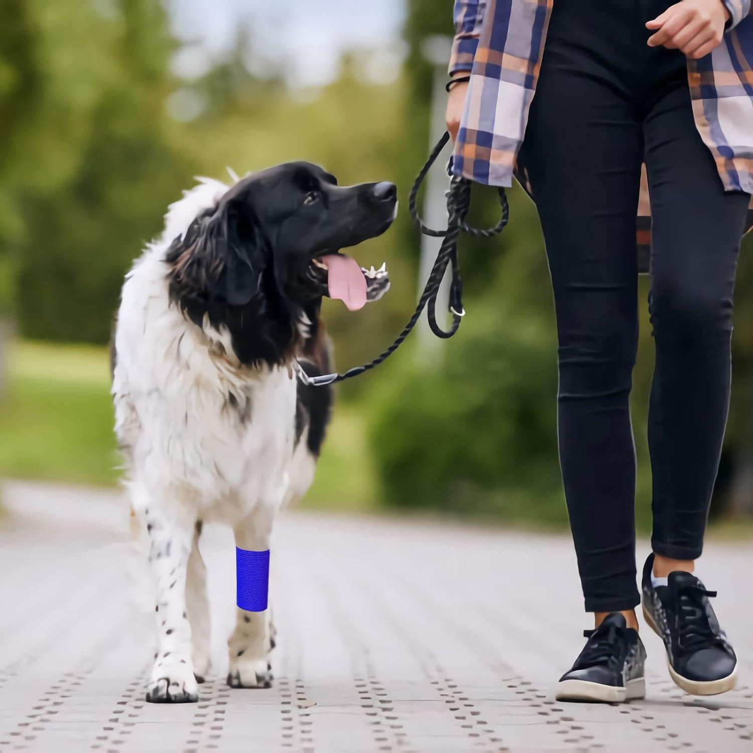 6 Rolls Cohesive Bandage 10cm X 4.5m Vet Wrap For Horses Self Adherent ...