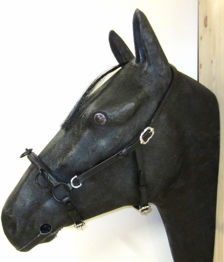 Buy PS Horse French Cavesson Cavecon with D-Rings - Soft Full Size ...