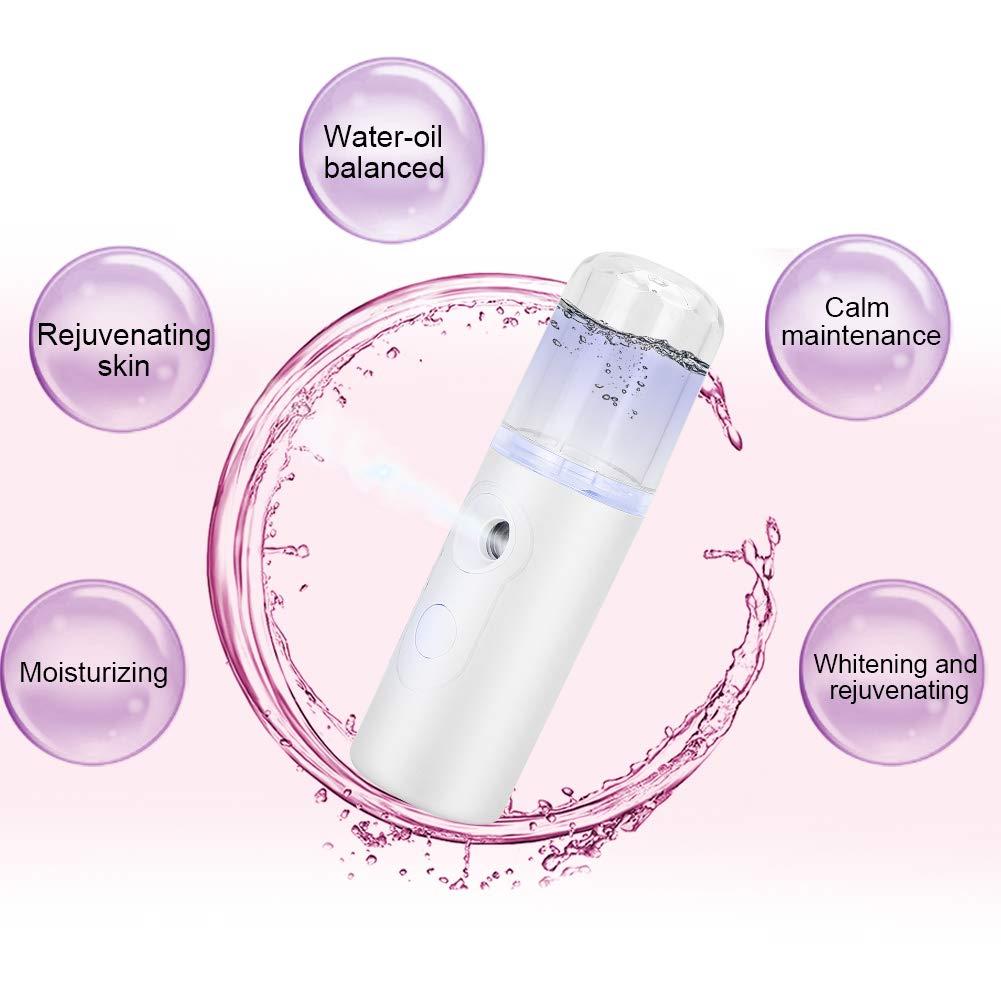 Portable Facial Mister - Mini Sprayer for Professional Skincare ...