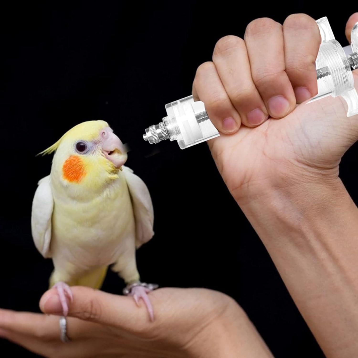 ZYFFHG Syringe Birds Feeding Syringe Parrot Feeding Tubes Feeding ...