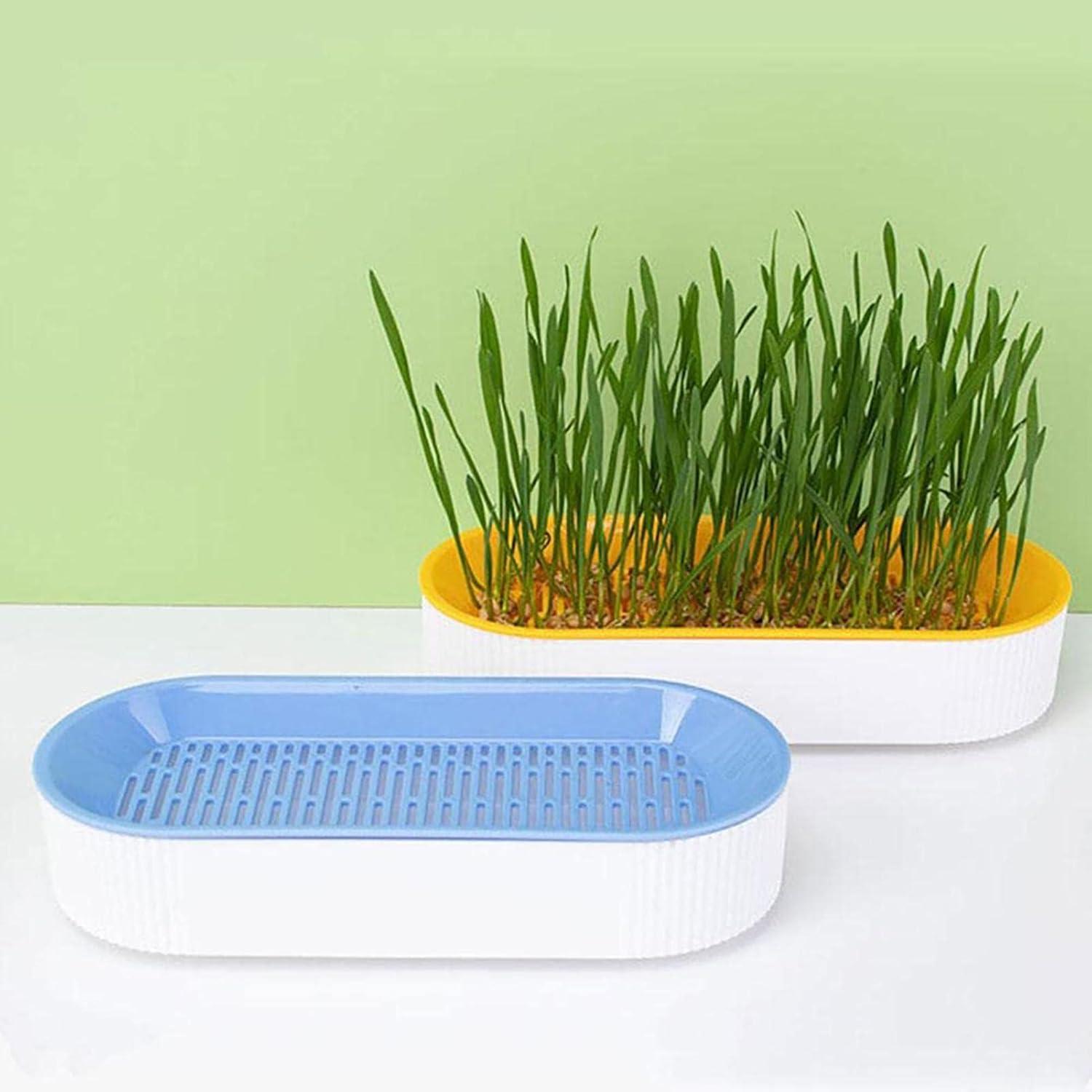 Cat Grass Set - Hydroculture Plant Container for Cats | Dirt-Free ...