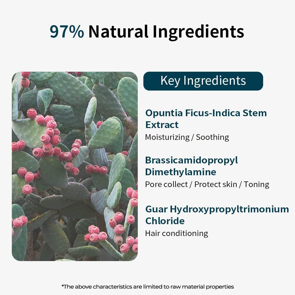 Buy Whamisa Fresh Cactus Shampoo | Nourishing & Organic Hair Care ...