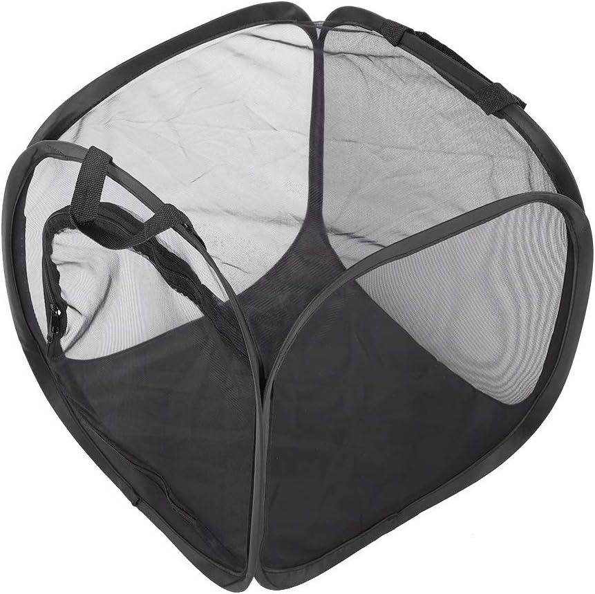 Insect Cage Insect Mesh Cage Enclosure Breeding Cages for Insects | Buy ...