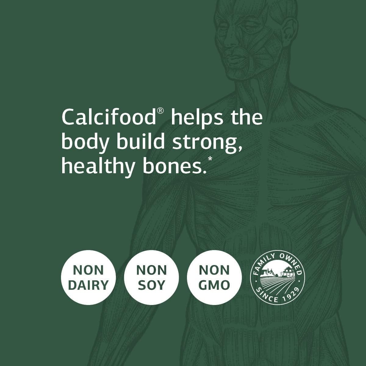 Standard Process Calcifood - Bone Strength & Calcium Absorption Support ...