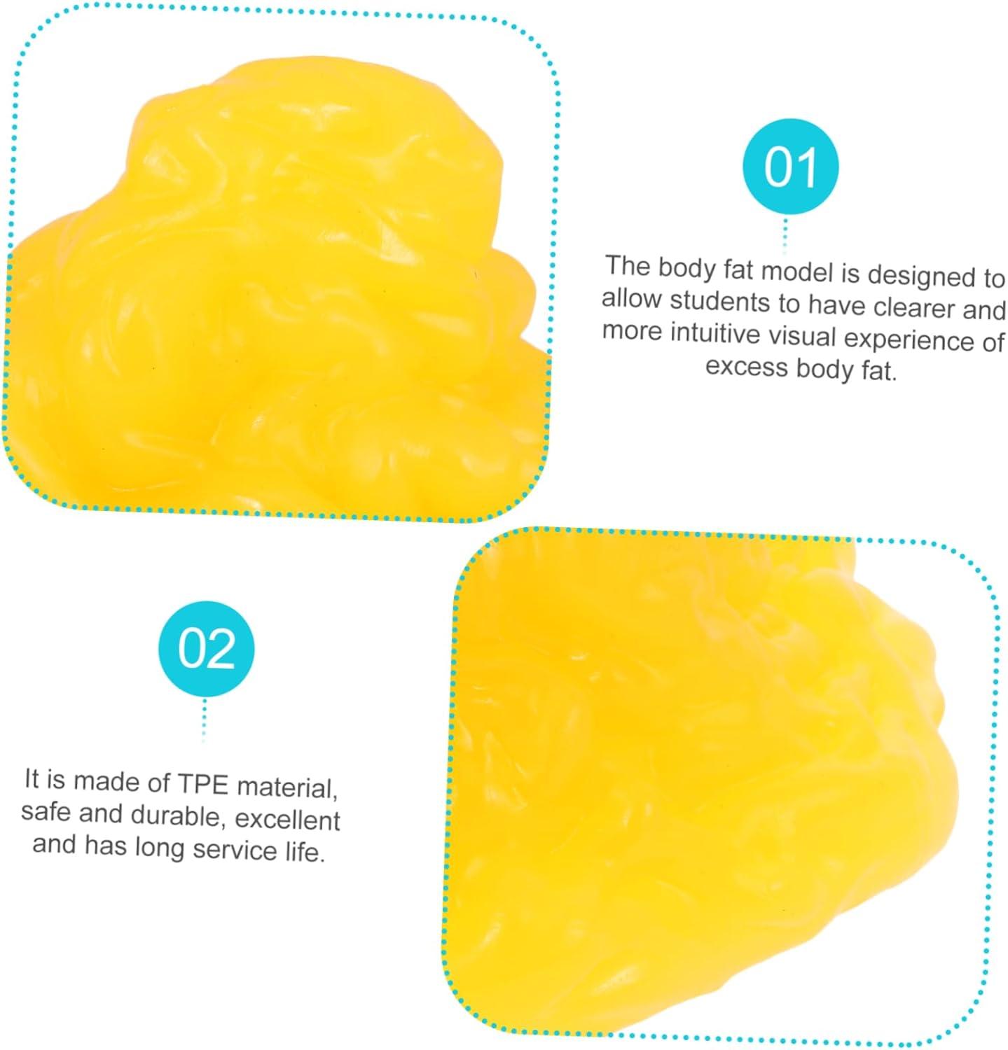 Baluue Fat 1lb Fat Model Manikin Mannequins Body Fat Anatomy Fat ...