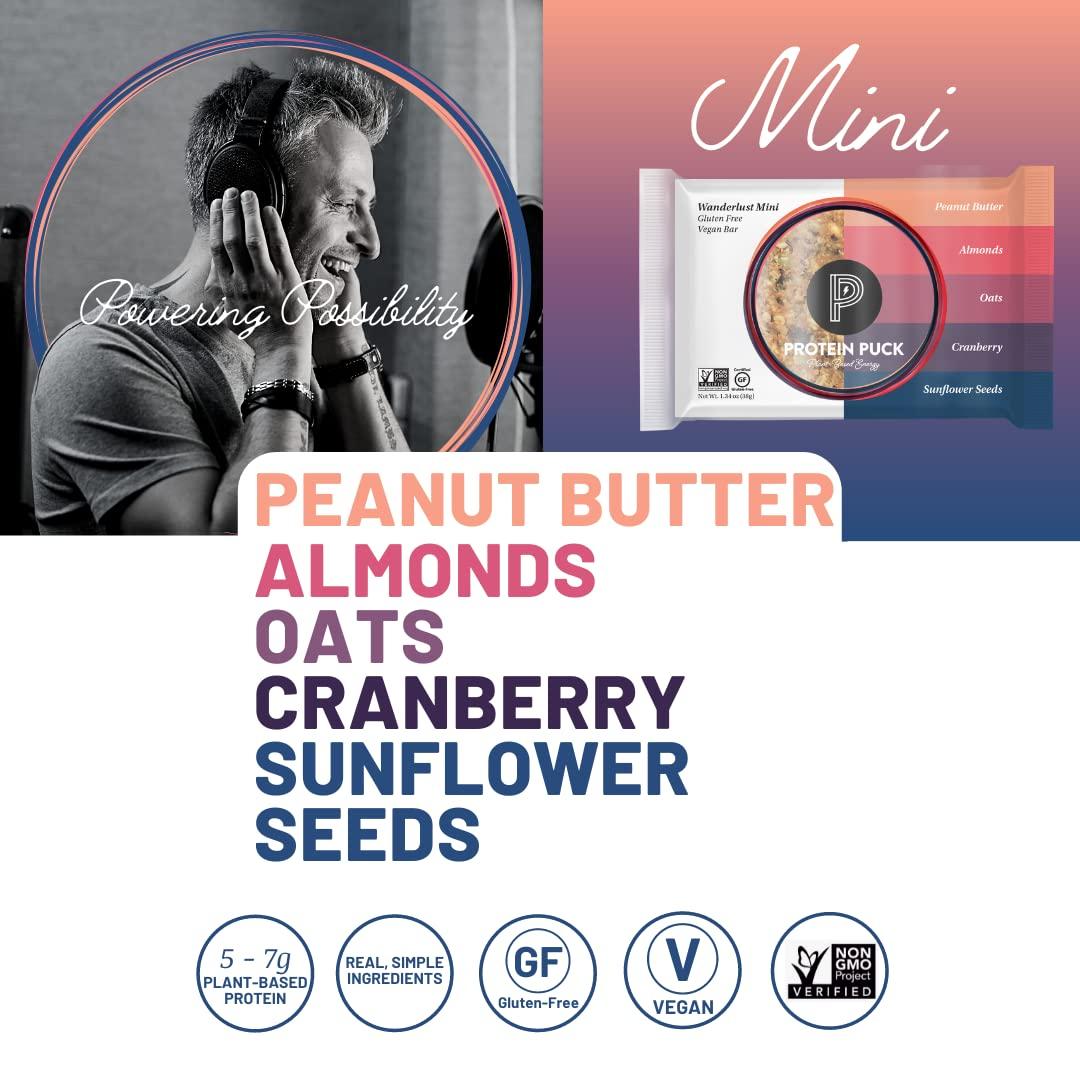 Protein Puck Mini Bars Variety Pack Case of 12 - High Protein Vegan ...