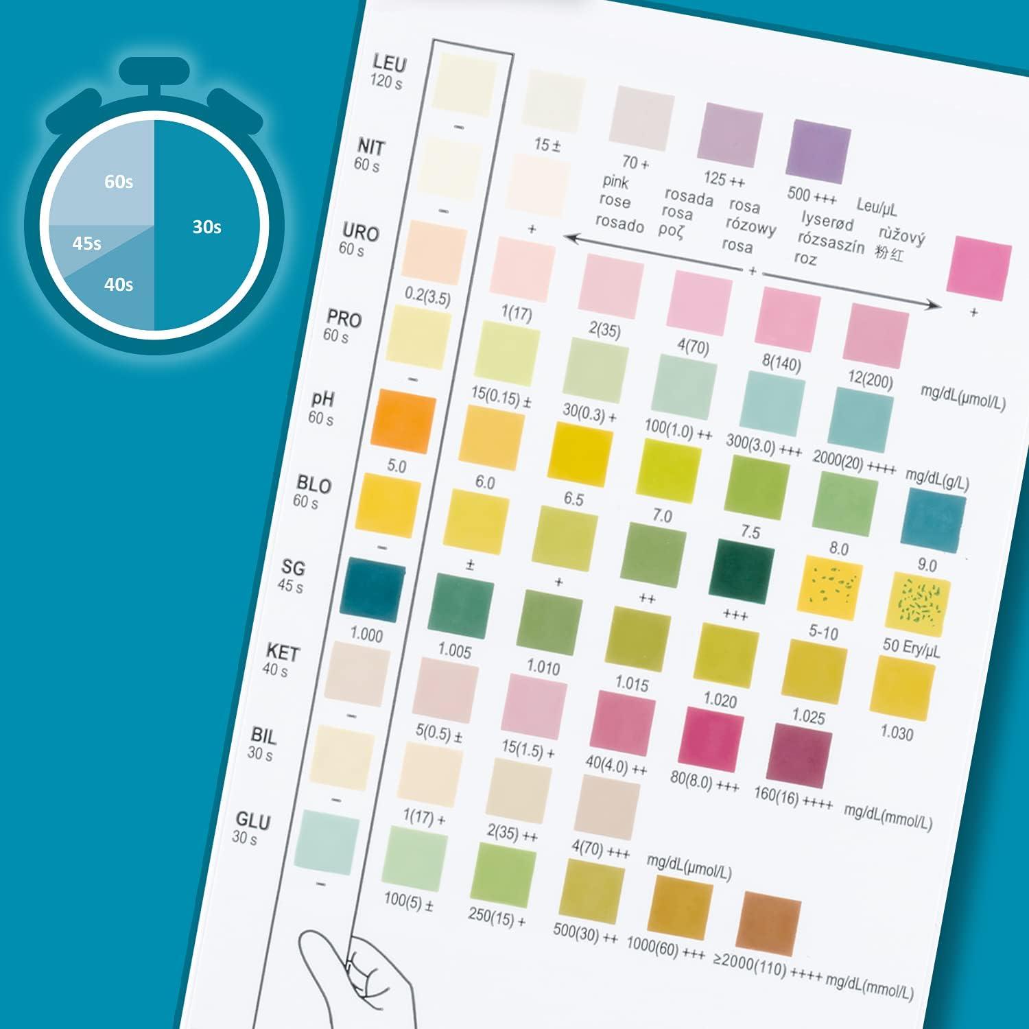 Reactif Health Test: 100 Urine Test Strips for 10 Parameters | Fast ...