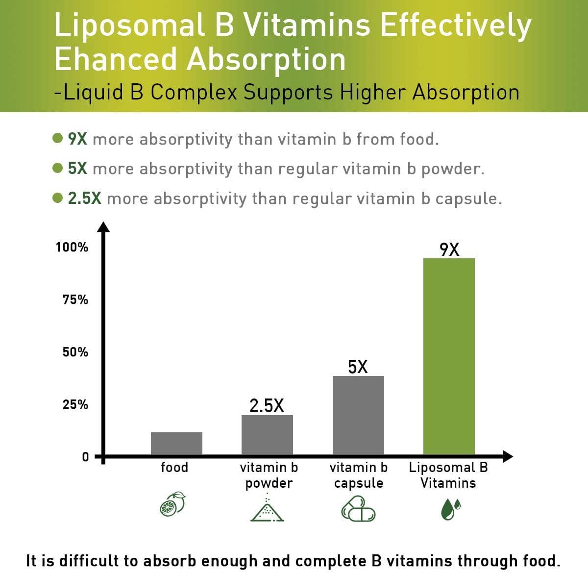 PIDEBO Liposomal B Complex - High Potency Vitamin B Liquid for Energy & Metabolism Support - B1 ...
