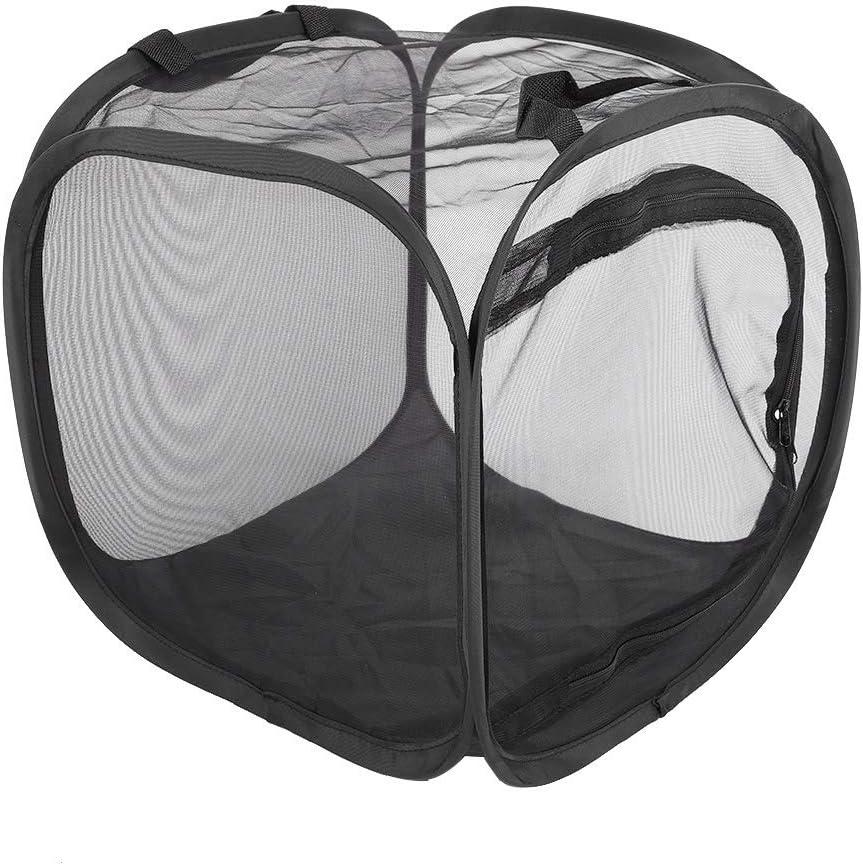 Insect Cage Insect Mesh Cage Enclosure Breeding Cages for Insects | Buy ...