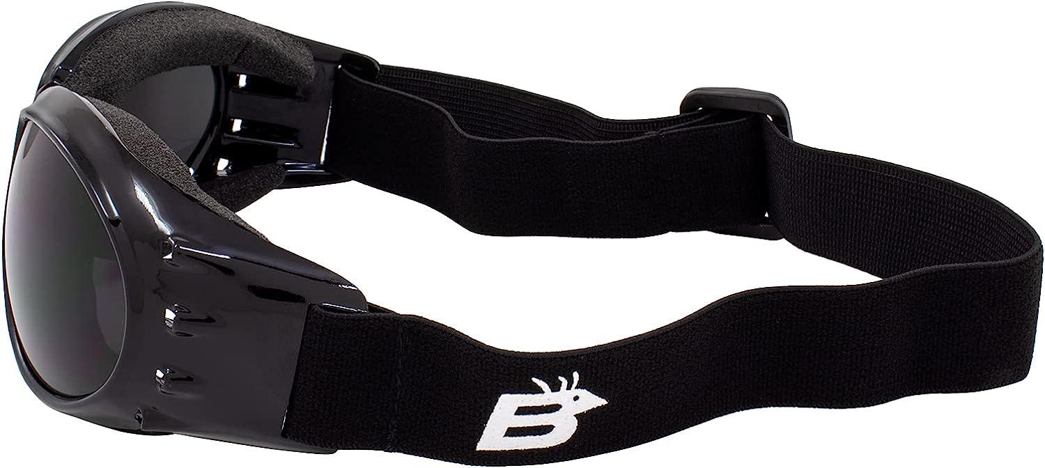 Birdz Eagle Red Baron Motorcycle Airsoft Goggles - Clear & Super Dark ...