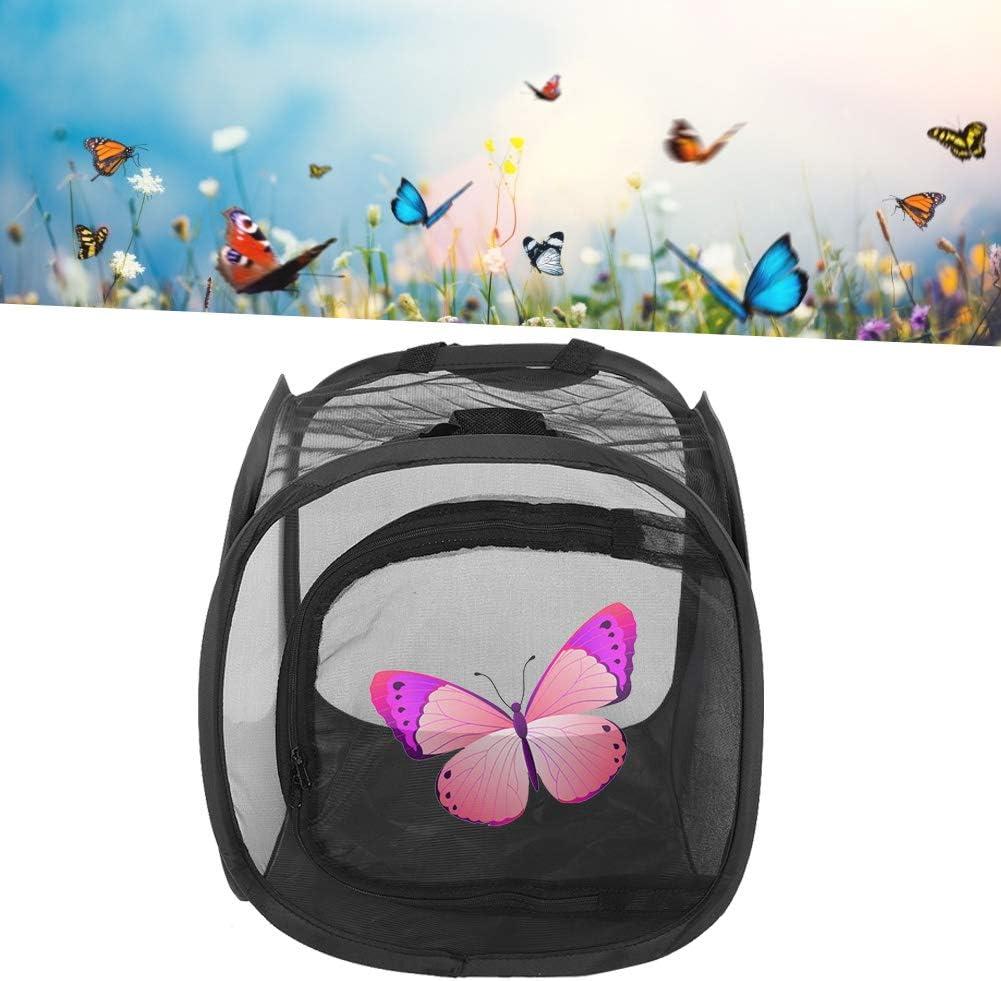 Insect Cage Insect Mesh Cage Enclosure Breeding Cages for Insects | Buy ...