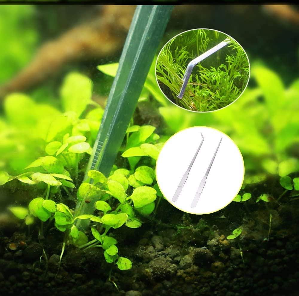 ESKONI 2-Piece Aquarium Tweezers Set - Stainless Steel Straight and ...