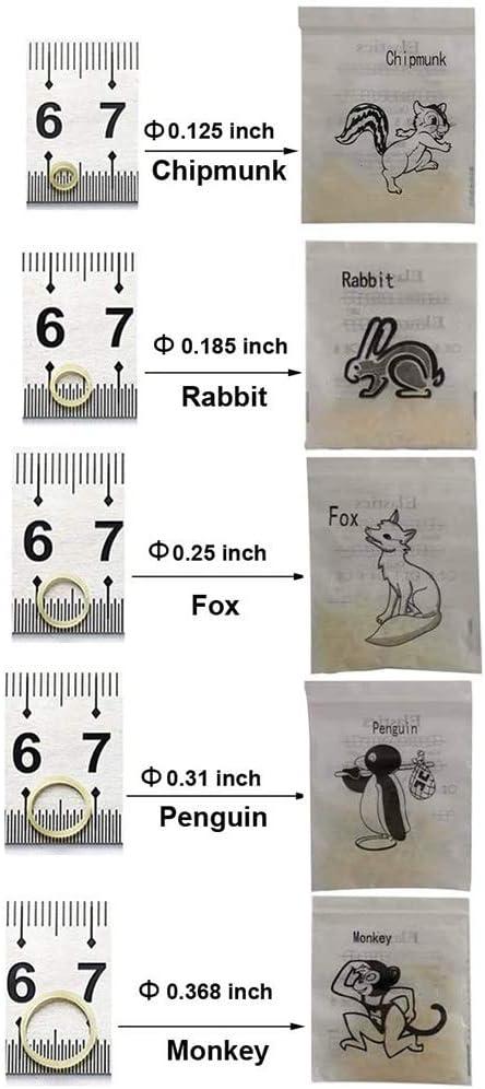 500 pcs Chipmunk 1/8 Orthodontic Elastic Bands for Braces - Latex ...