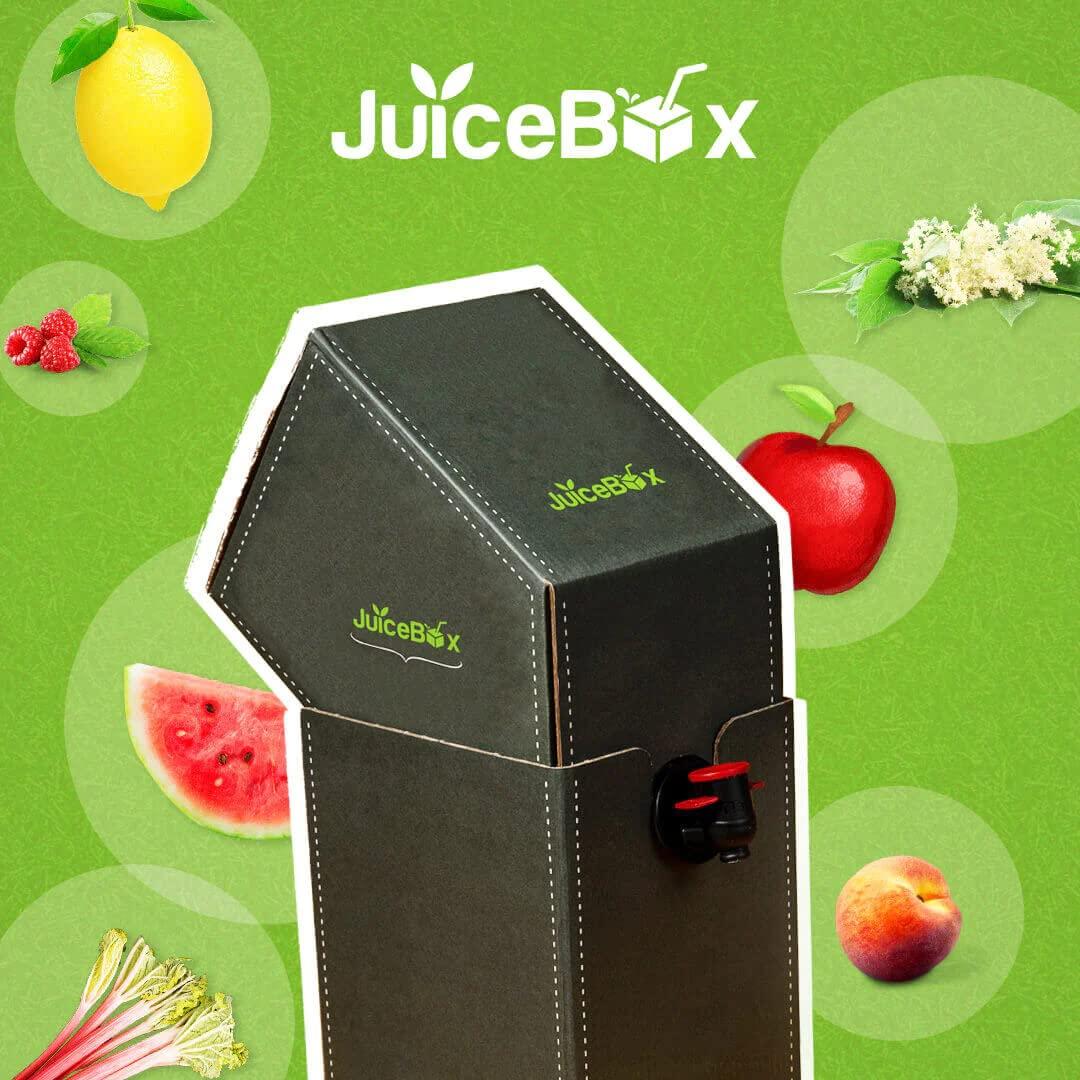 JuiceBox Elderflower Syrup - 2 Liters (Makes 22L Ready-to-Drink) | Sustainable Vegan & Delicious ...