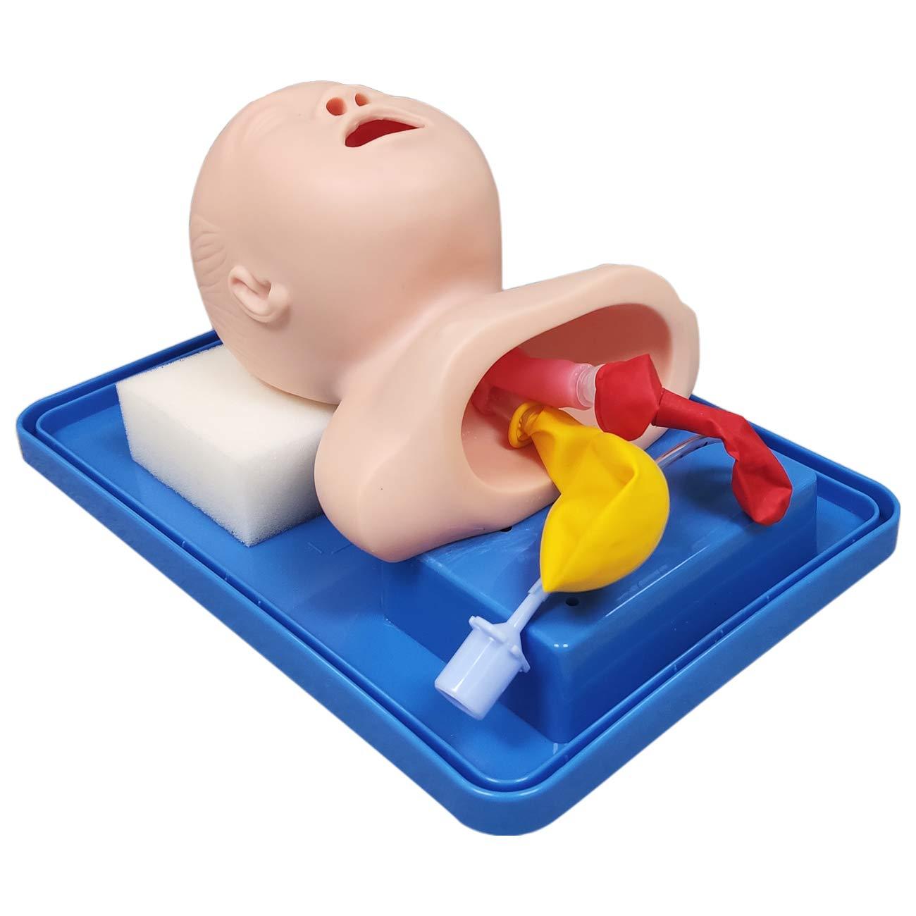 Ultrassist Infant Intubation Trainer - Pediatric Airway Manikin for ...