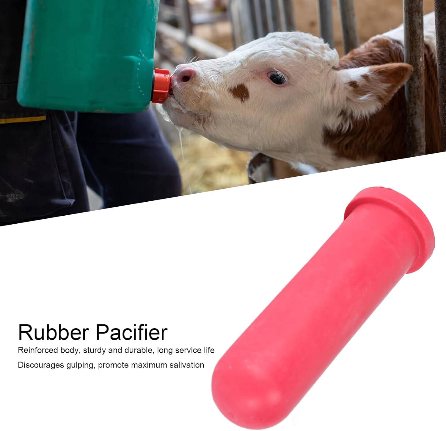 Buy Kuuleeyn Creep Pacifier Set - Milk Feed Bucket Pacifier & Valve ...