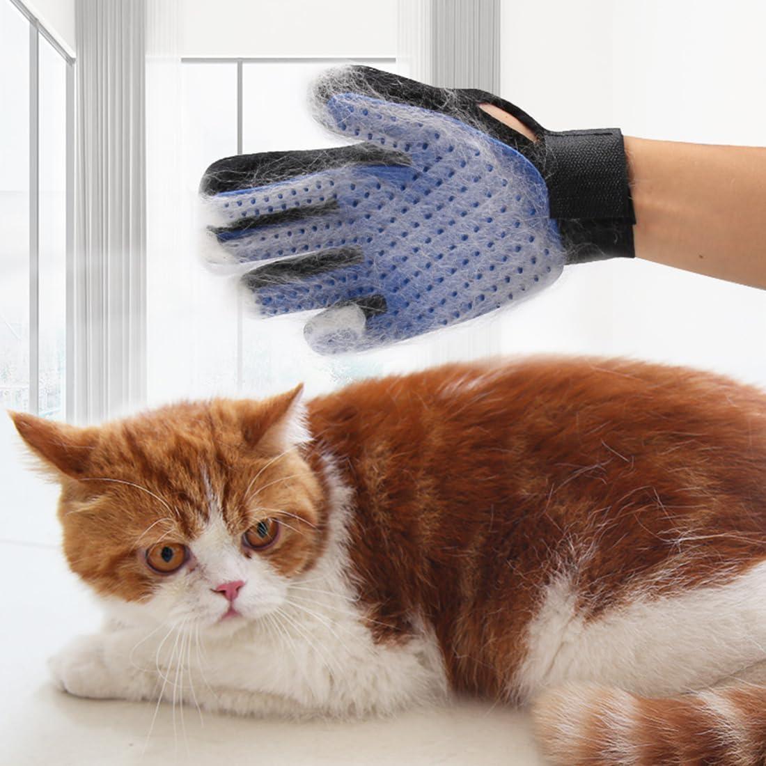 cat hand gloves