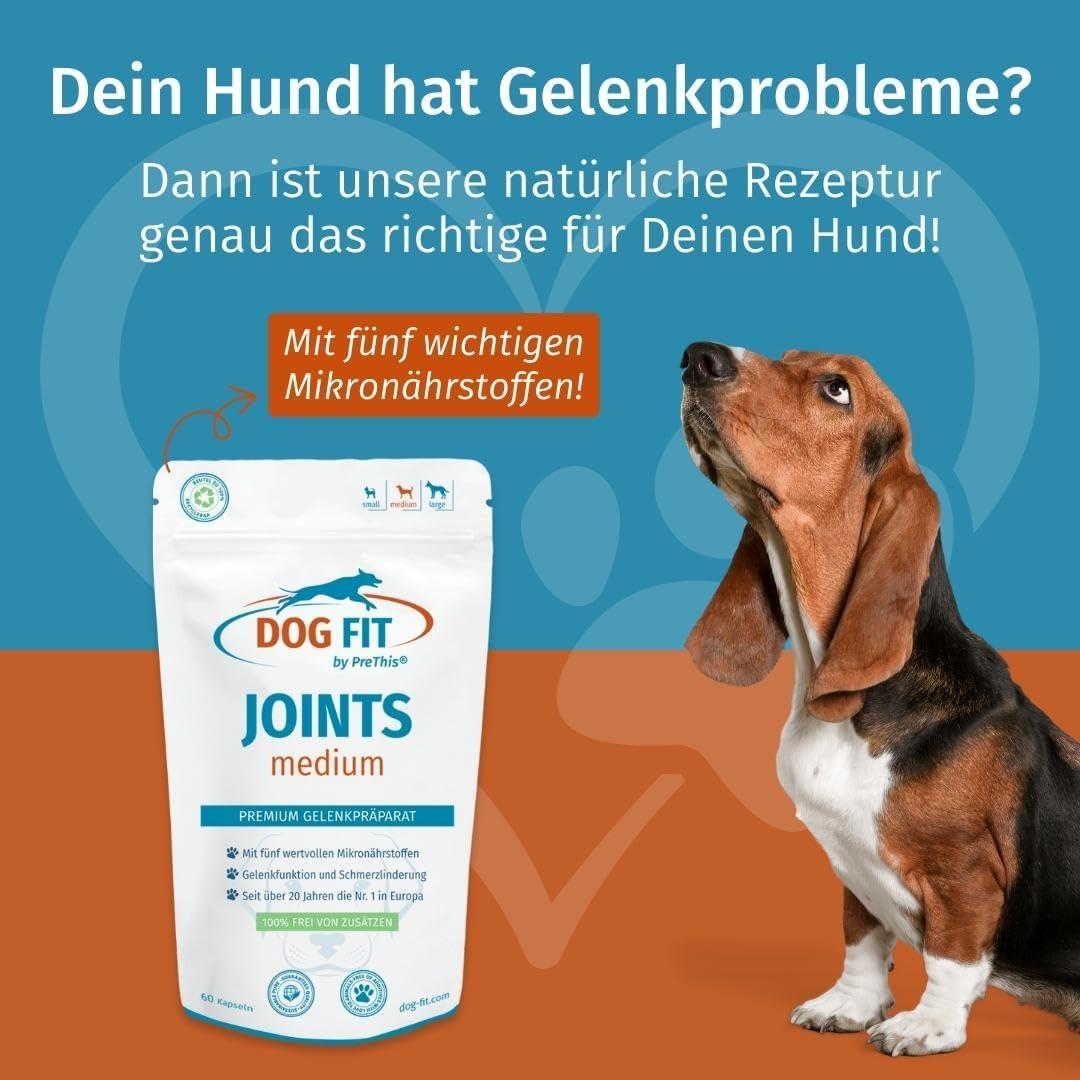 Dog Fit by Prethis | Joint Protection for Dogs | Osteoarthritis ...