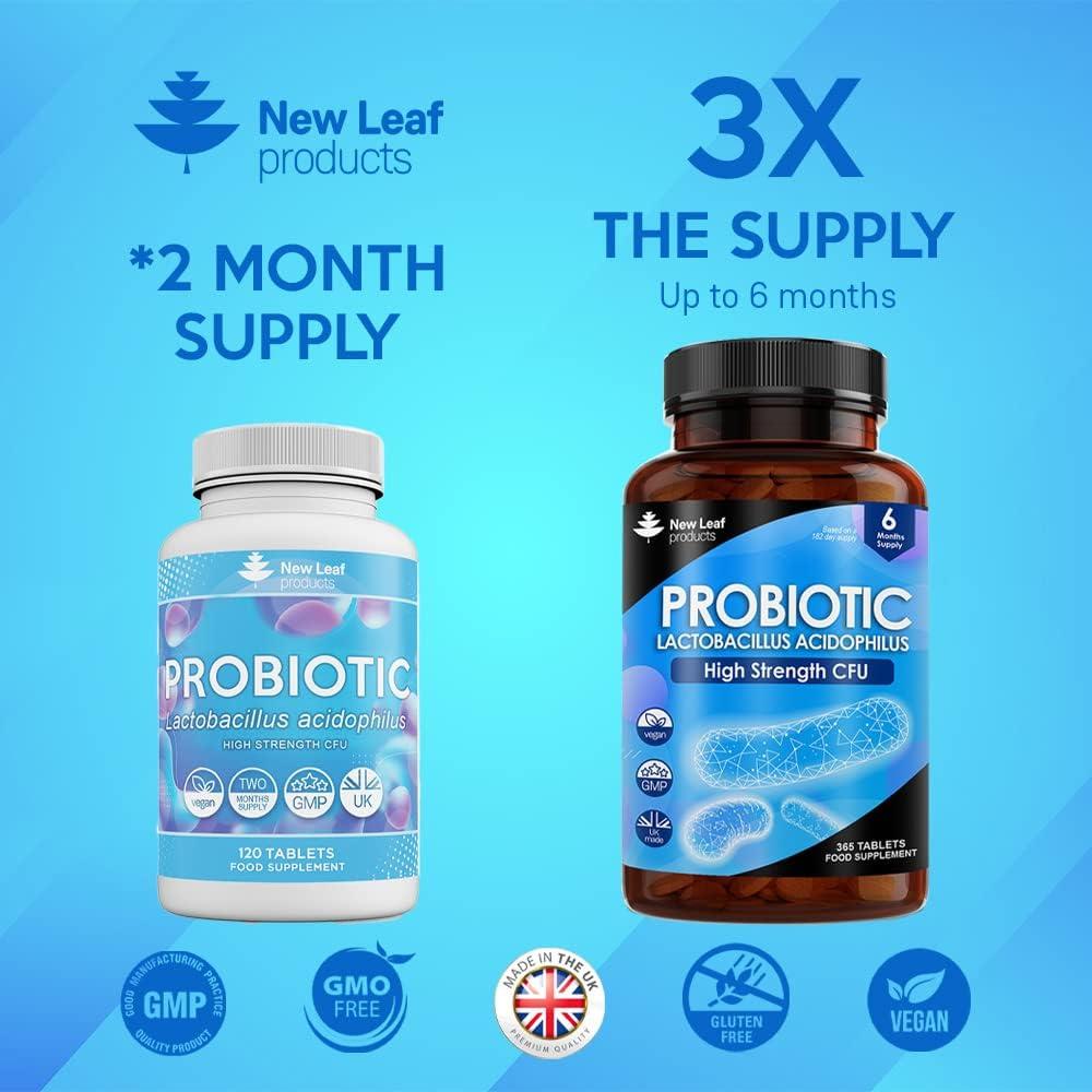 ACIDOPHILUS PROBIOTIC 365: High Strength Digestive Health Supplement ...