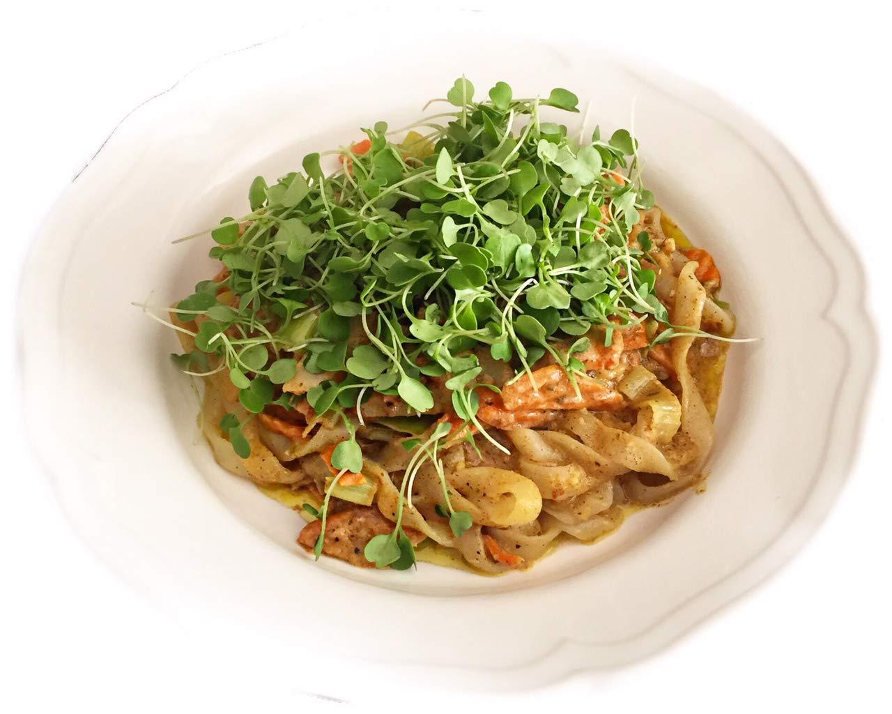 Miracle Noodle Fettuccine Pasta - Plant Based Shirataki Noodles | Keto ...
