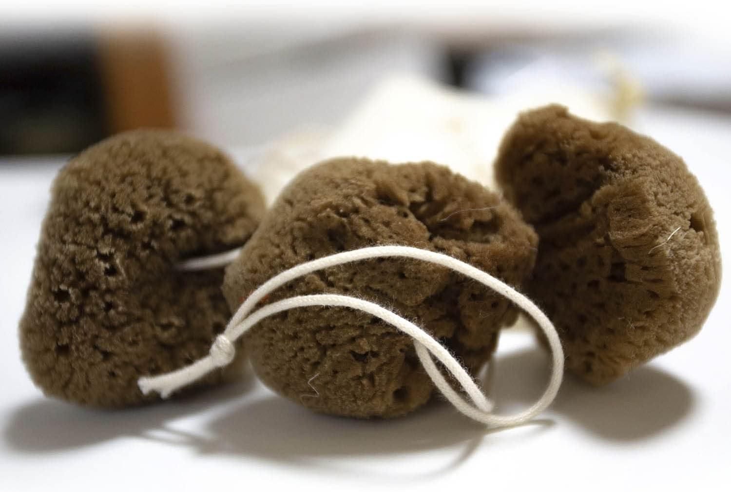 Natural Menstrual Sponge Set - Eco-Friendly Reusable Tampon & Cup ...