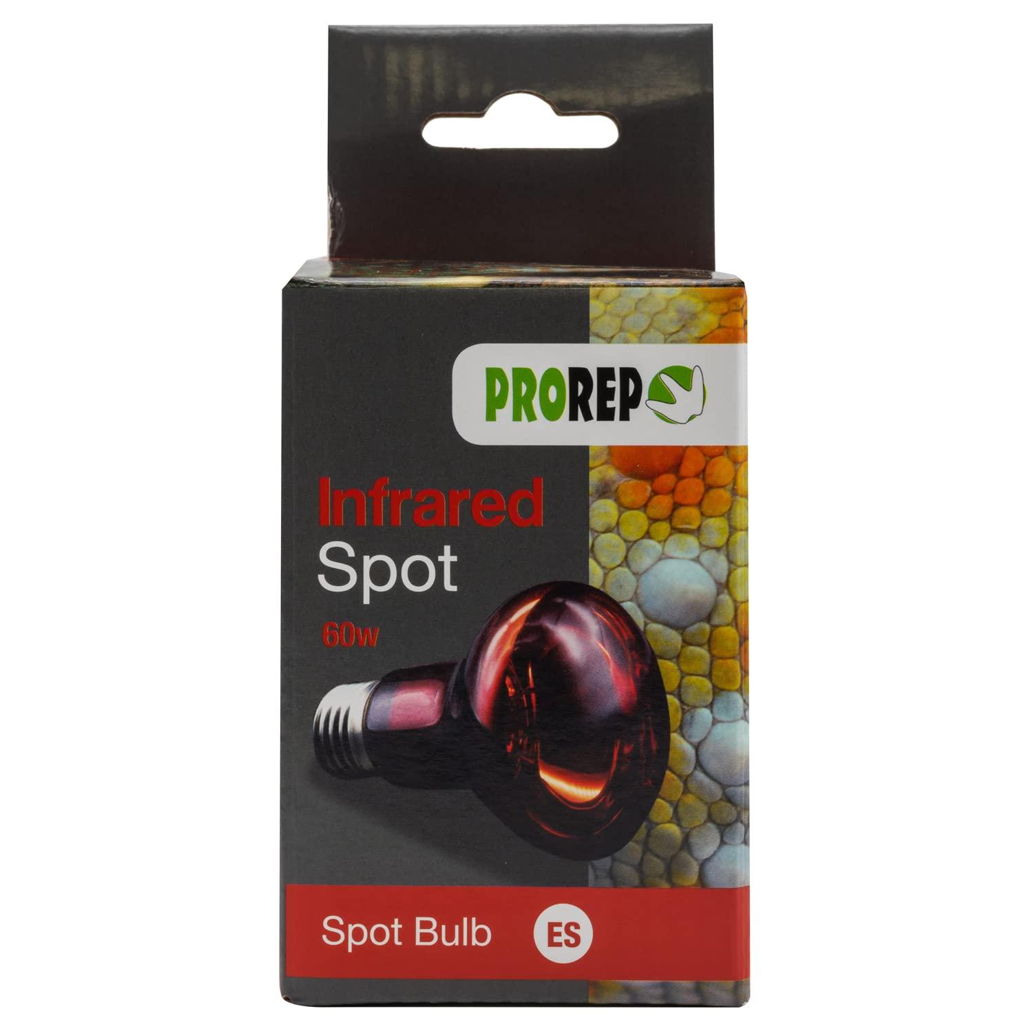 ProRep ES Spot Lamp 60 Watt Red Night 1 Count (Pack of 1) | Buy Now ...