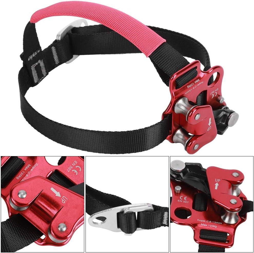 Jeanoko 7075 Aviation Aluminum Climbing Swimming Clamp - Adjustable ...