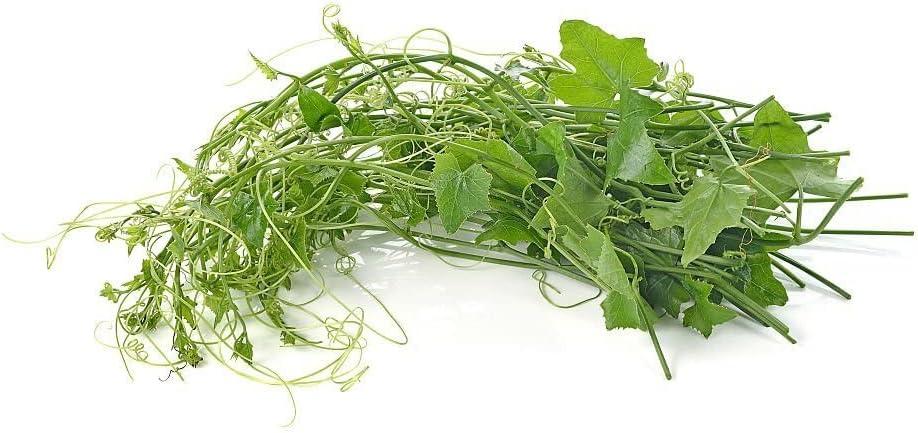 Organic Ivy Gourd Leaf Powder - 100% Pure, Fresh, GMO-Free, No ...