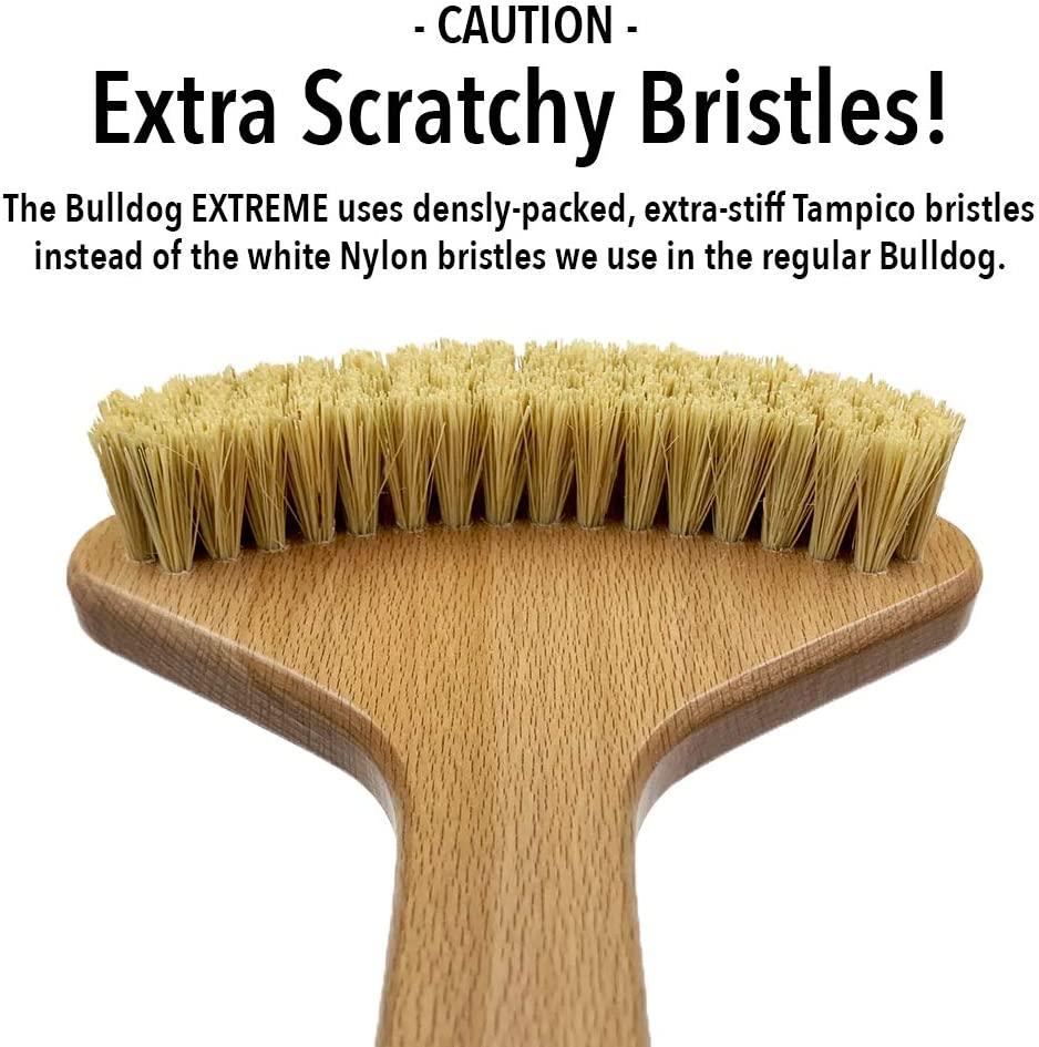 The Bulldog Extreme Back Scratcher - Extra-Stiff Bristles for Serious ...
