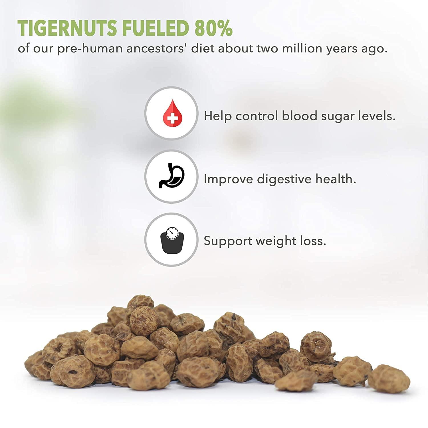 Organic Tigernuts 16oz - All-Natural, Nutrient-Rich, High Fiber Paleo ...