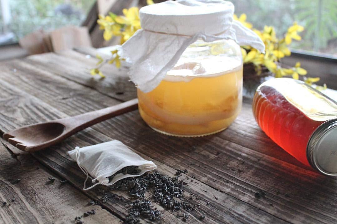 1 Gallon Jun Kombucha Starter Kit - Includes USDA Organic Jun SCOBY ...