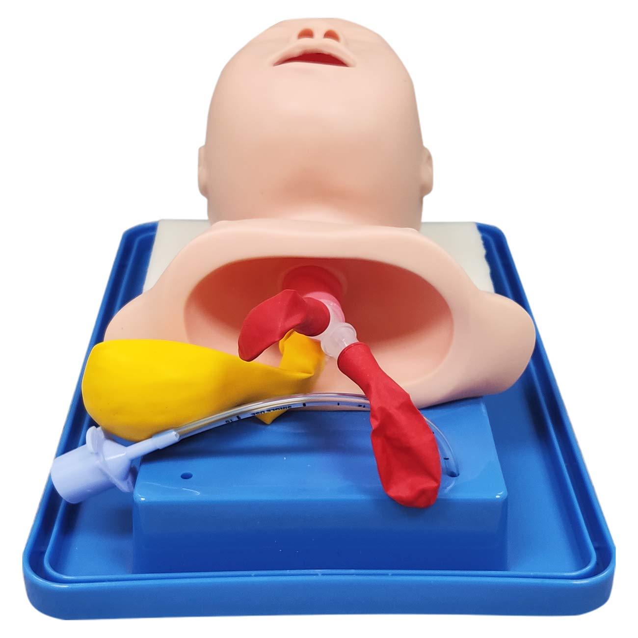 Ultrassist Infant Intubation Trainer - Pediatric Airway Manikin for ...