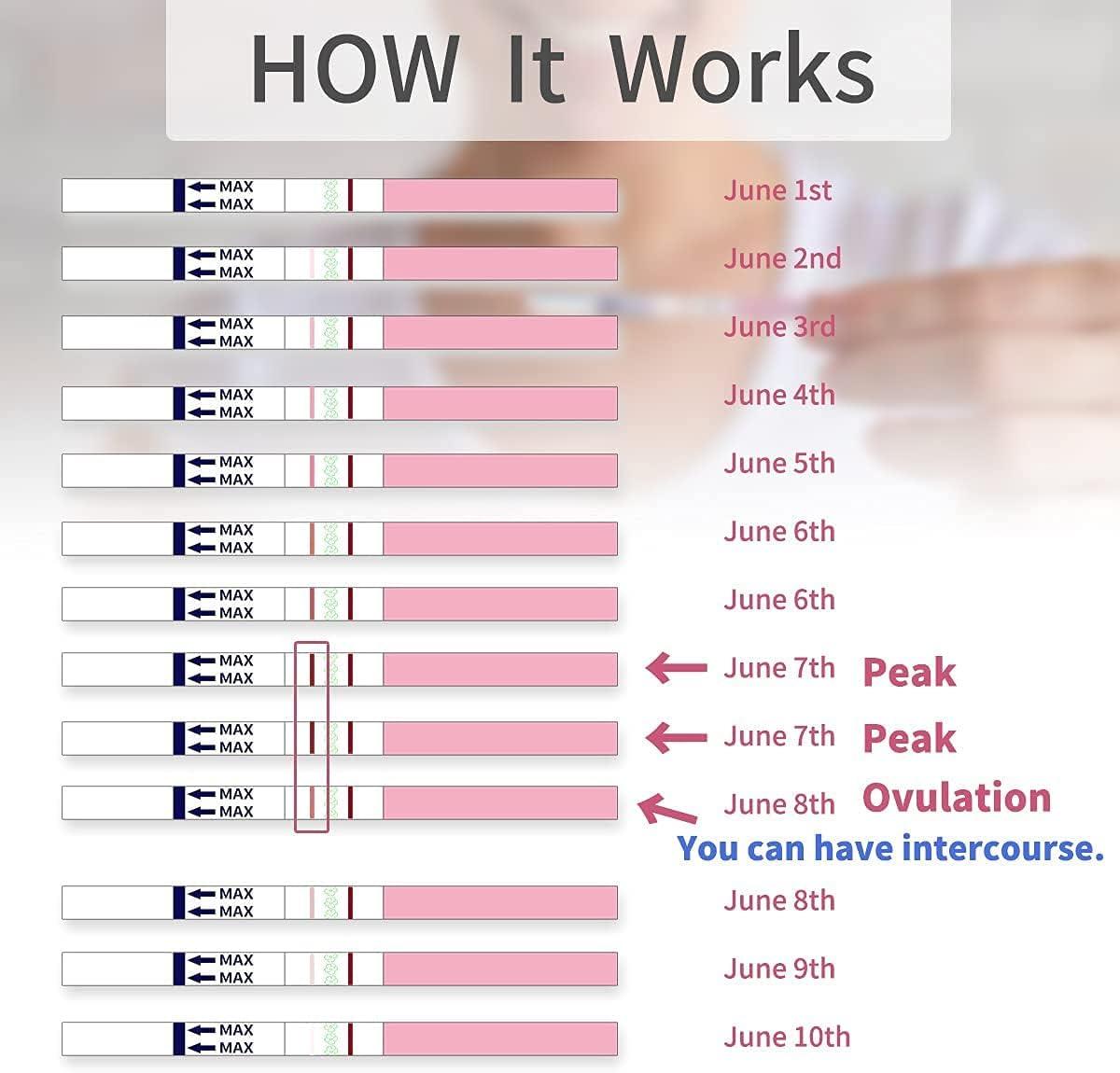 DAVID 50 Ovulation Test Strips - Fertility Predictor Kit for Women - 50 ...