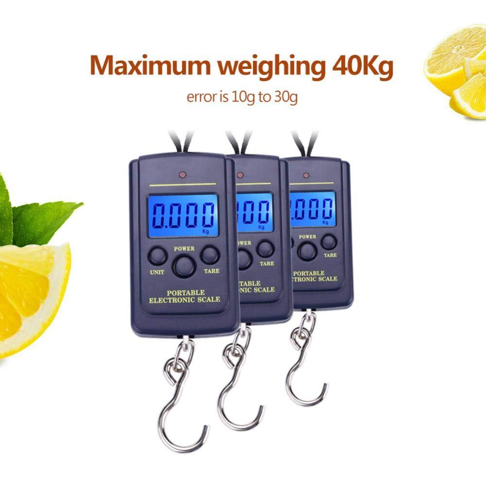 Buy Digital Hanging Fish Scales - 40kg Portable Angler Scale with LCD ...