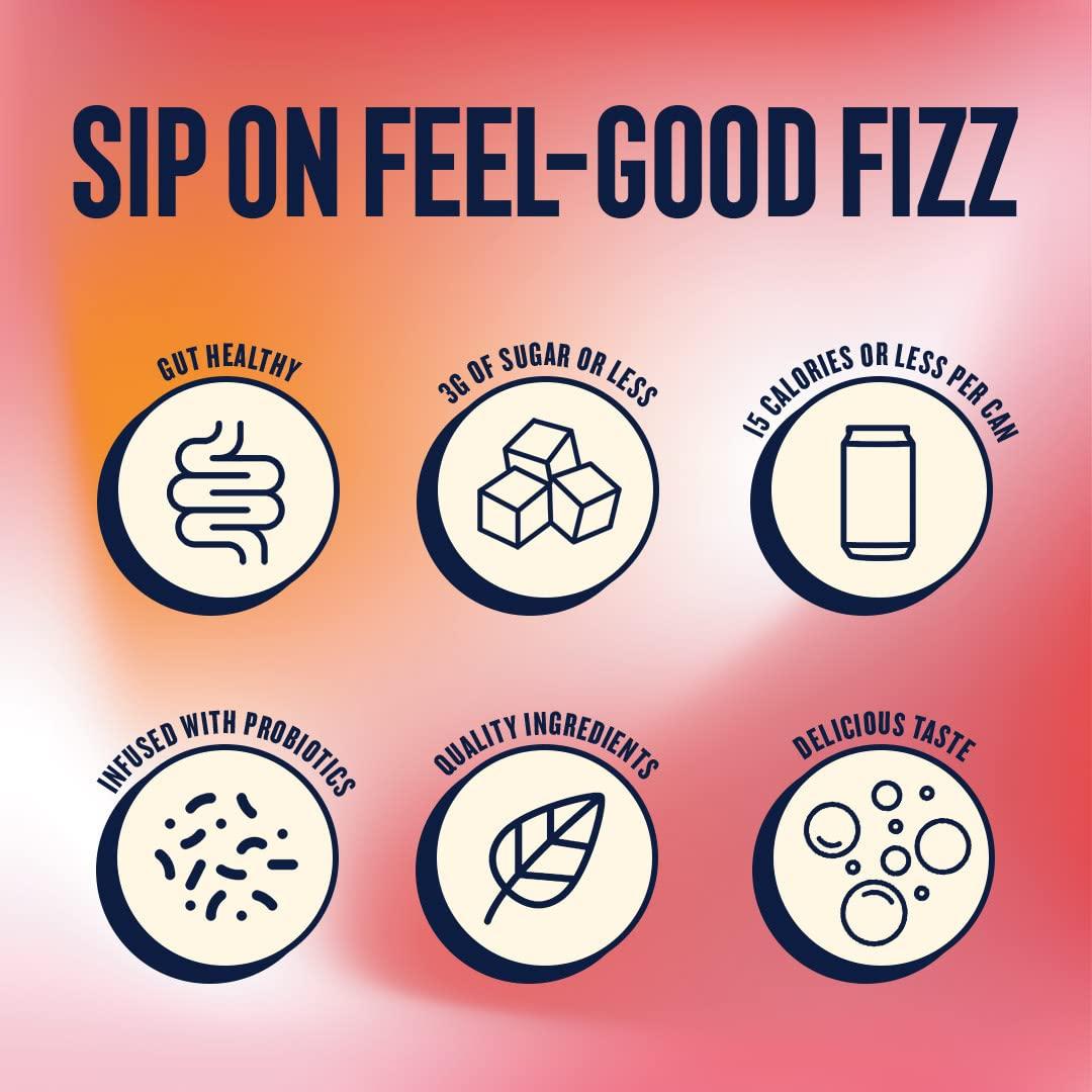 HUZZAH Strawberry Hibiscus Sparkling Seltzer Water - 4 Pack | Low ...