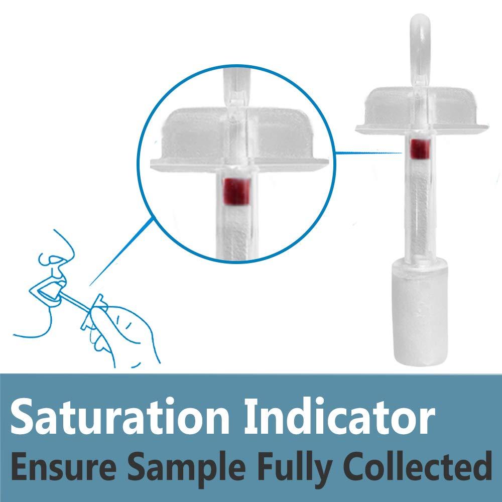 Prime Screen 5 Pack 6 Panel Oral Saliva Drug Test Kit, Employment and ...