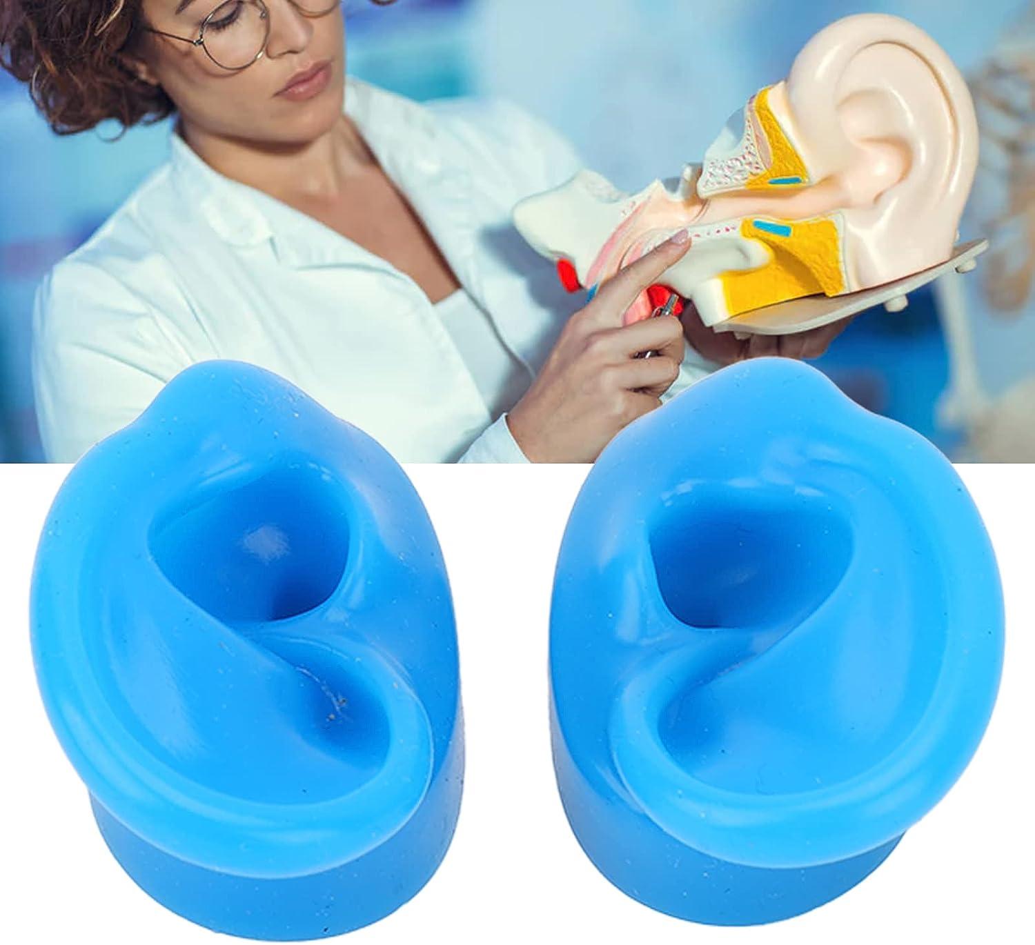 Soft Silicone Ear Model Pair for Demonstration & Teaching - Flexible ...