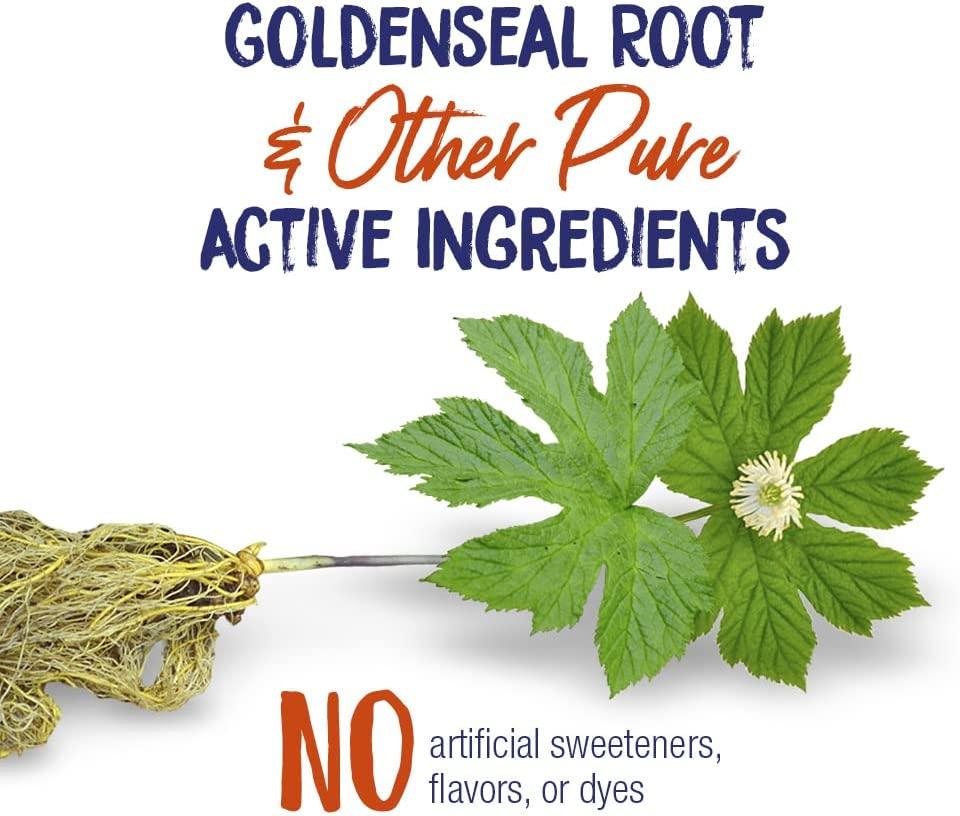 Boiron Chestal Children's Cold & Cough Syrup - Original 6.7 Fl Oz ...