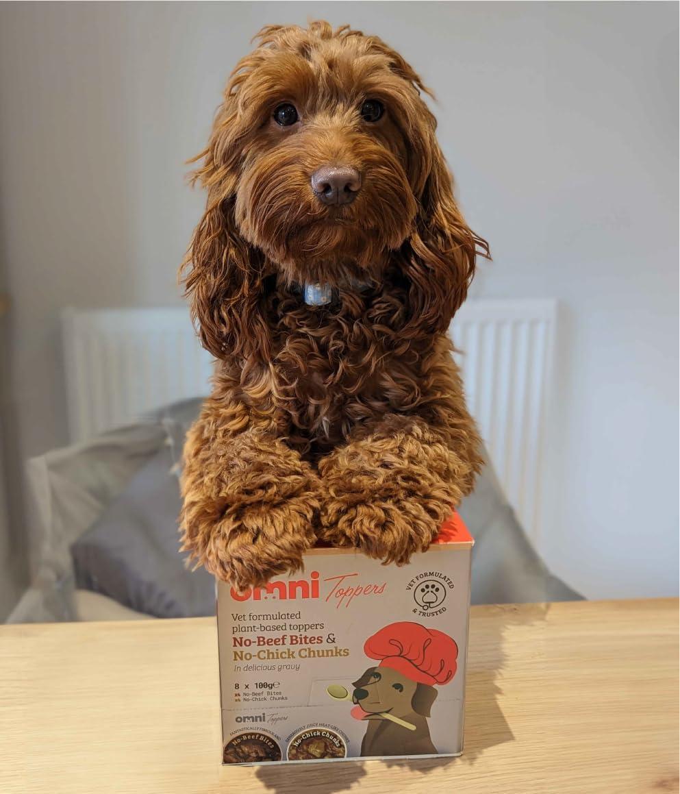 Omni Wet Dog Food Toppers - Vet-Formulated Pouches for Treats & Food ...