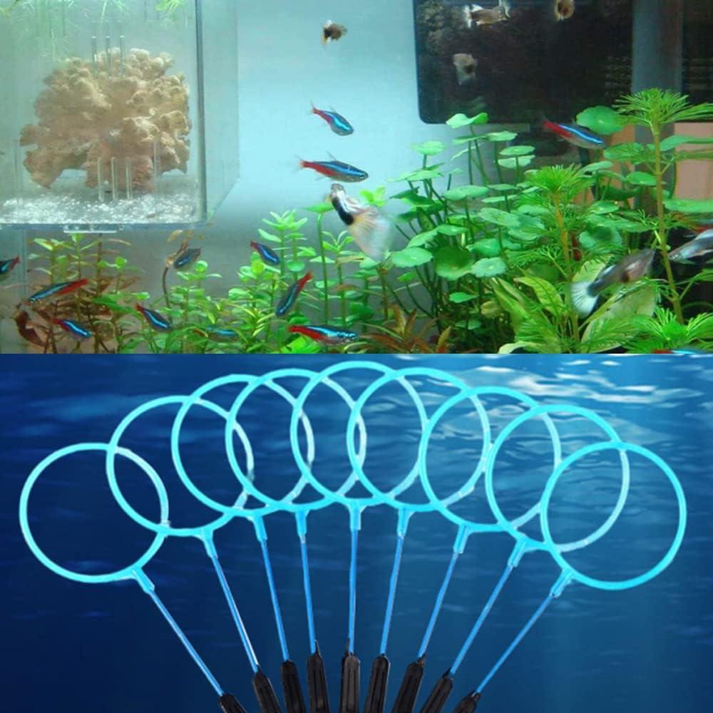 10Pcs Shrimp Nets Small Fishing Nets Aquarium Catcher Nets Plastic ...