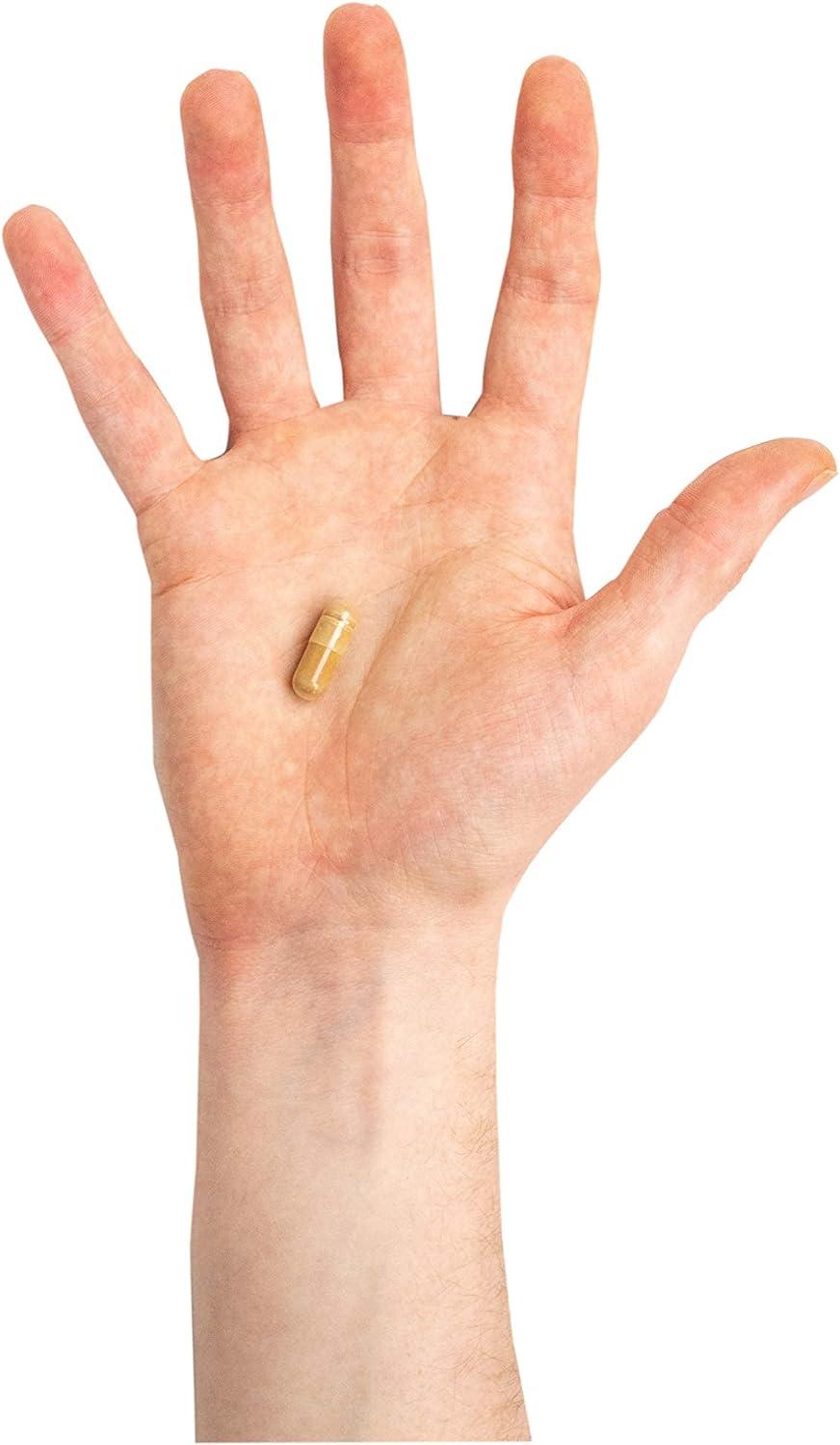 Green Tea Extract Supplement - 480mg (12:1) - 90 Capsules | Rich in ...